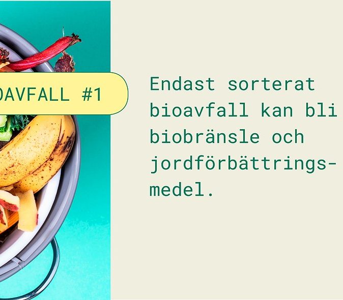 Snyltgäst bland energiavfallet - Ekorosk